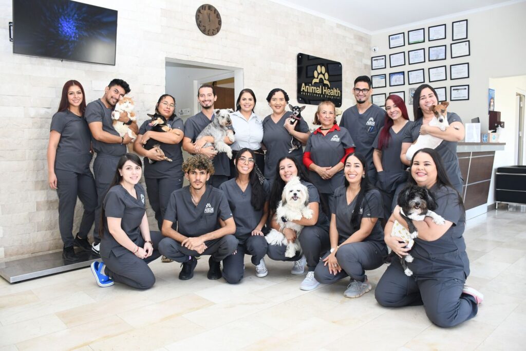 Aruba Clinical Affiliations – Xavier University School of Veterinary ...