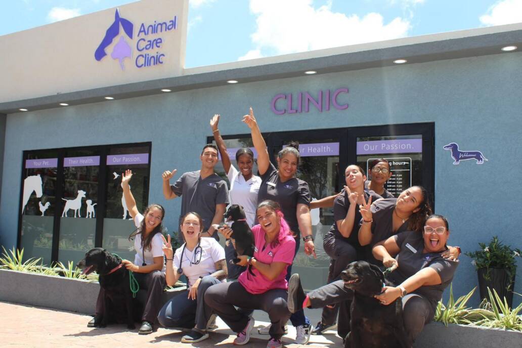 Aruba Clinical Affiliations – Xavier University School of Veterinary ...