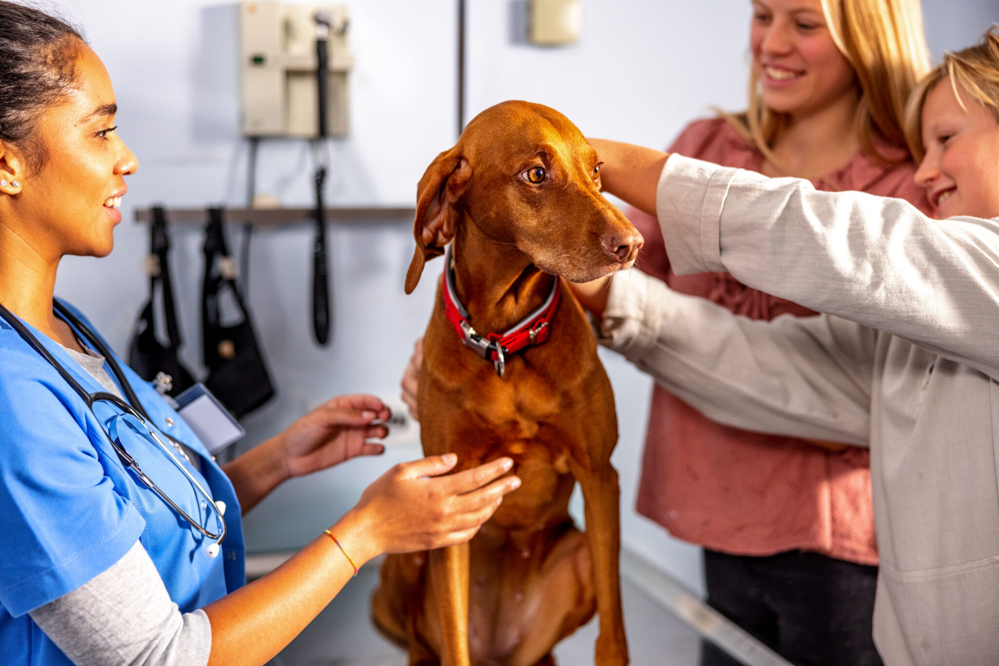 About XUSOVM – Xavier University School of Veterinary Medicine